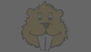 Goalie Pad Toe Bridges & Ties | Nash Sports